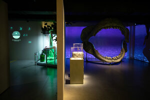 Museum of Art and Facts (Obvodnogo Kanala Embankment No:118С, Saint Petersburg), müzeler ve sanat galerileri  Saint‑Petersburg'dan