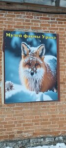 Müzeler ve sanat galerileri Фауна Урала, Sverdlovskaya oblastı, foto