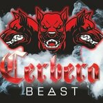 Cerbero Best (Borodinskaya street No:20), spor okulları  Vladivostok'tan