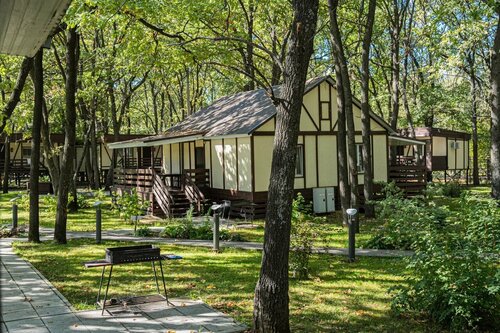 Resort oteller, tesisler Alymov, Saratovskaya oblastı, foto