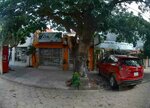 Notary of Public Faith No. 148 (Santa Cruz de la Sierra, Distrito Municipal 11, Subdistrito 5, Teniente Walter Vega, 106), noterler  Bolivya'dan