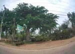 Agroforestry Vivero (Santa Cruz de la Sierra, Avenida Cuarto Anillo), bahçecilik mağazaları  Dünya'dan