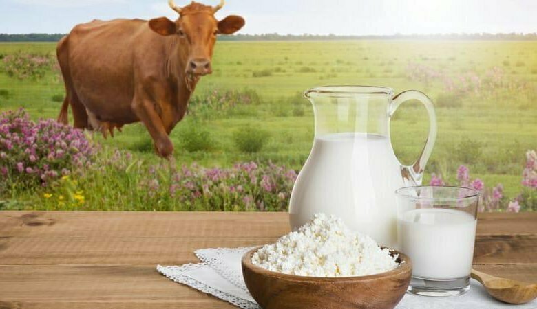 Süt ürünleri satış mağazaları Коровье молоко, Kalujskaya oblastı, foto