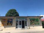 Дилижанс (ulitsa Gorkogo No:1, Gantiadi Urban Settlement), teslimat noktası  Gagra Bölgesi'nden