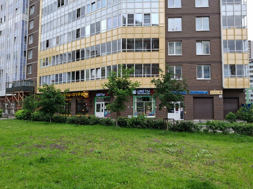 Optik Невская оптика, Kudrovo, foto