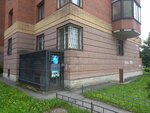 Кашпо из ротанга, растения для сада (Alpiyskiy Lane No:37к1), bahçecilik mağazaları  Saint‑Petersburg'dan