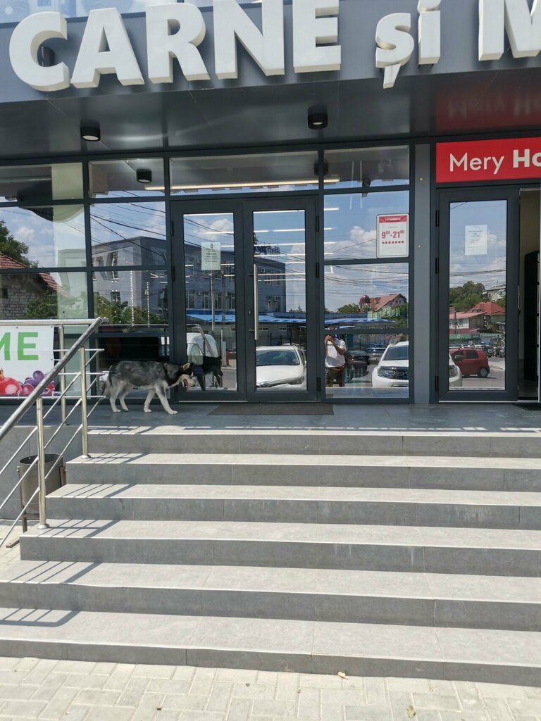Kasap, şarküteri Carne și Mezeluri, Dünya, foto