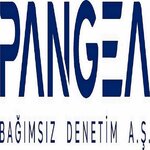 Pangea Bağımsız Denetim Anonim Şirketi (İstanbul, Kadıköy, Koşuyolu Mah., Mahmut Yesari Cad., 41), mali denetleme şirketleri  İstanbul'dan