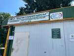 Белвторресурсы (Nikifarava Street No:20), geri dönüşüm maddeleri  Minsk'ten