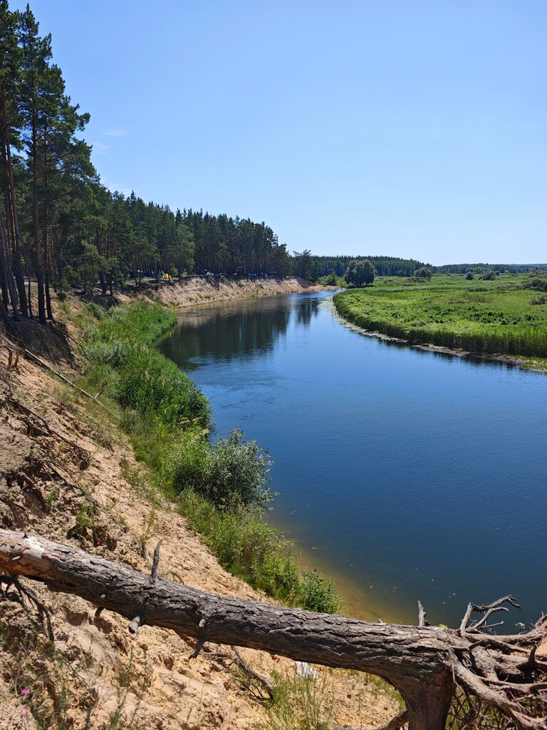 Plaj Beach, Lipetskaya oblastı, foto