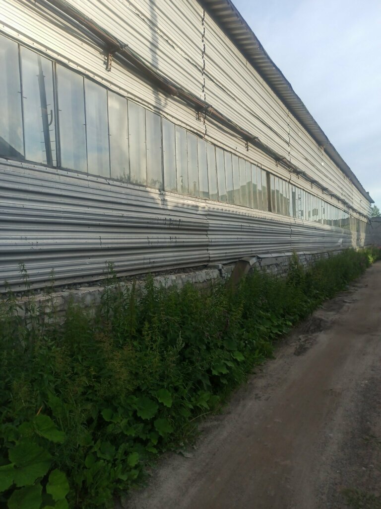 Elektroteknik ürün ve ekipman firmaları Ruselt-Zapadnaya Sibir, Surgut, foto