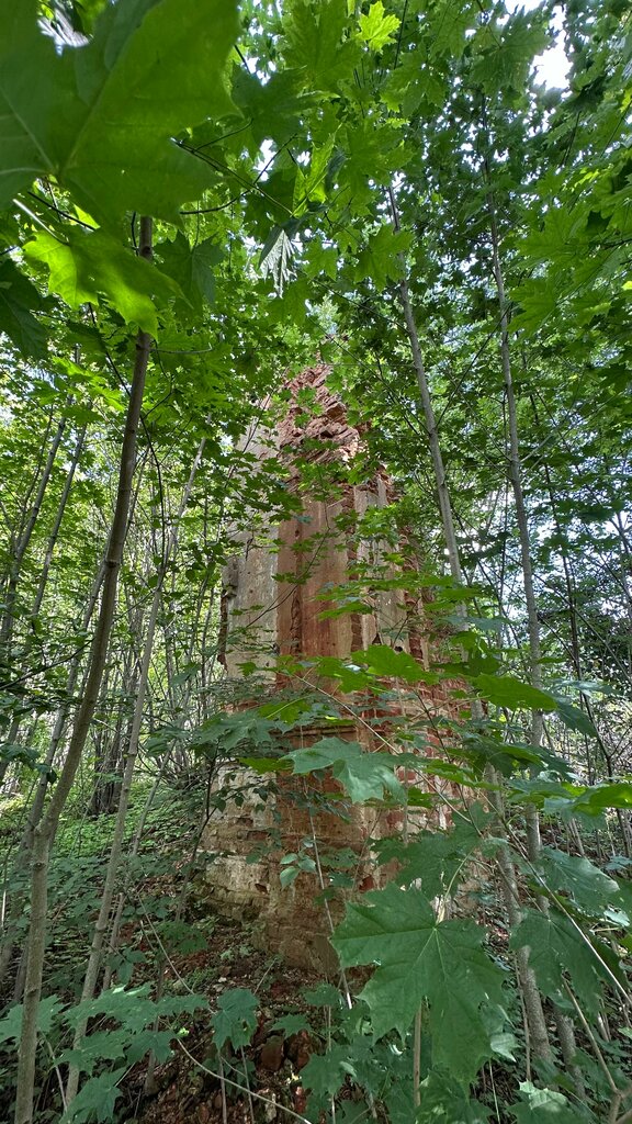 Turistik yerler Руины Спасо-Преображенской Церкви, Mogiliovskaya oblastı, foto