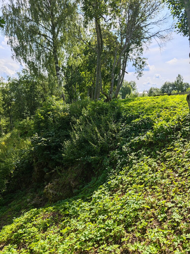 Turistik yerler Грот, Vologodskaya oblastı, foto