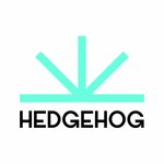 Hedgehog (ulitsa Zhukova No:4А), bilgisayar kursları  Magnitogorsk'tan