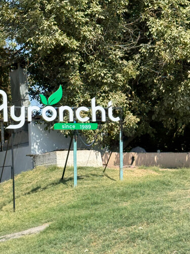 Kafe Ayronchi, Taşkent eyaleti, foto