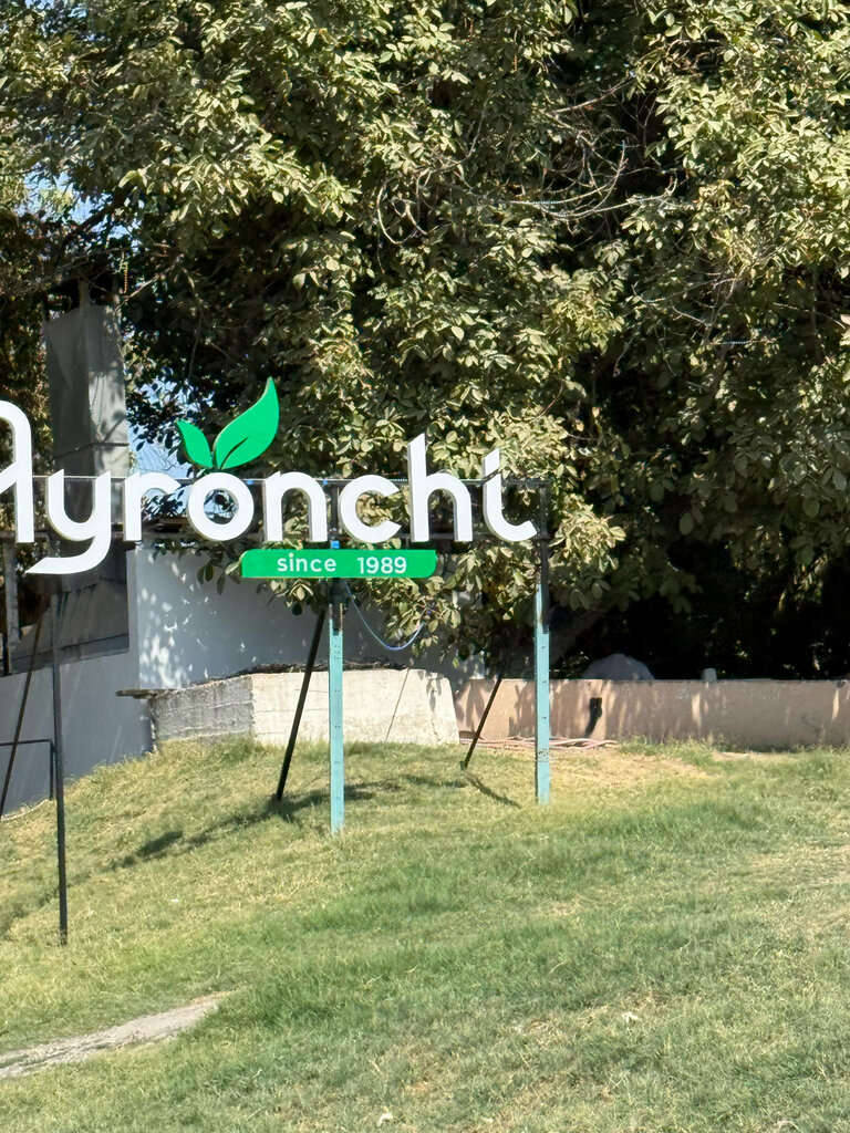 Kafe Ayronchi, Taşkent eyaleti, foto