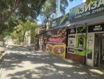Pitnitsa (Volodarskıı kóshesi No:7), bira dükkanı  Çimkent'ten (Şımkent'ten)