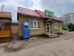 Chistyj kotik (ulitsa Gogolya No:133А), petshop  Sterlitamak'tan