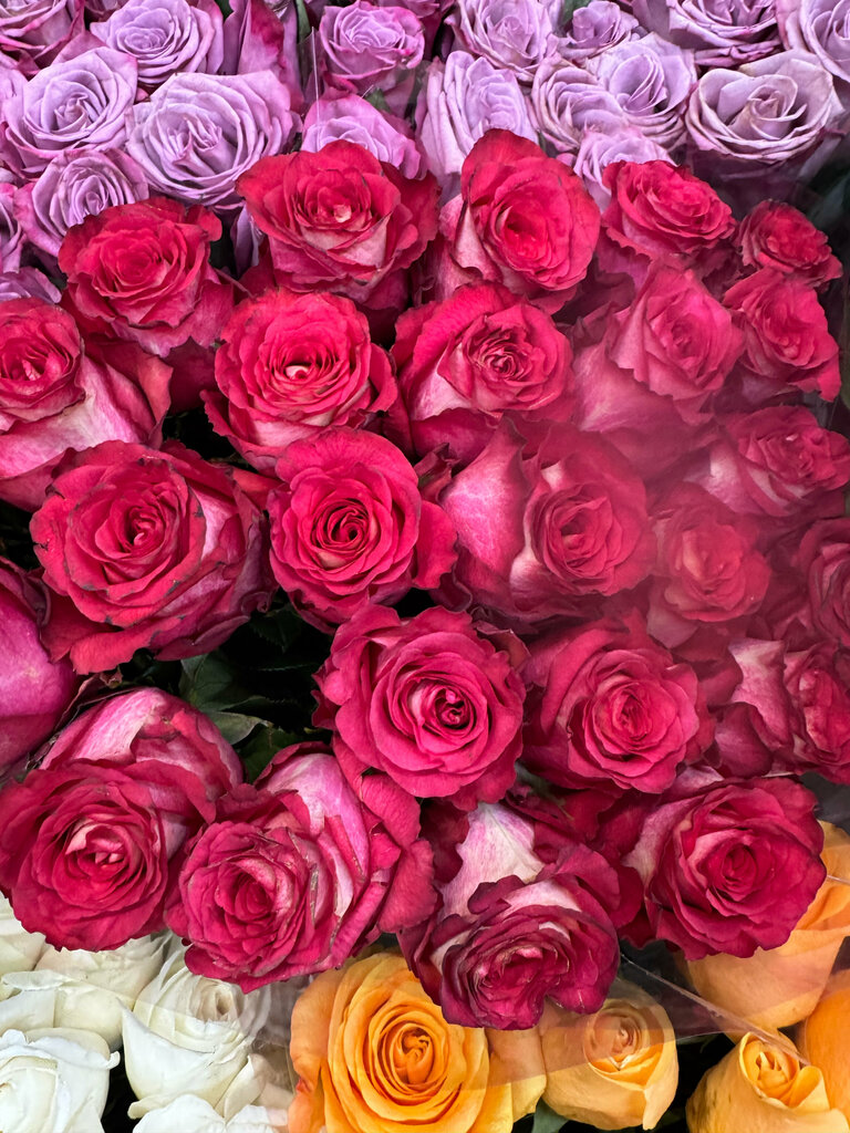 Çiçekçiler ЦВЕТОморфоза, Rostov‑na‑Donu, foto