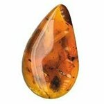 Amber Shop (Efimova Street No:3С), hediyelik eşya mağazaları  Saint‑Petersburg'dan