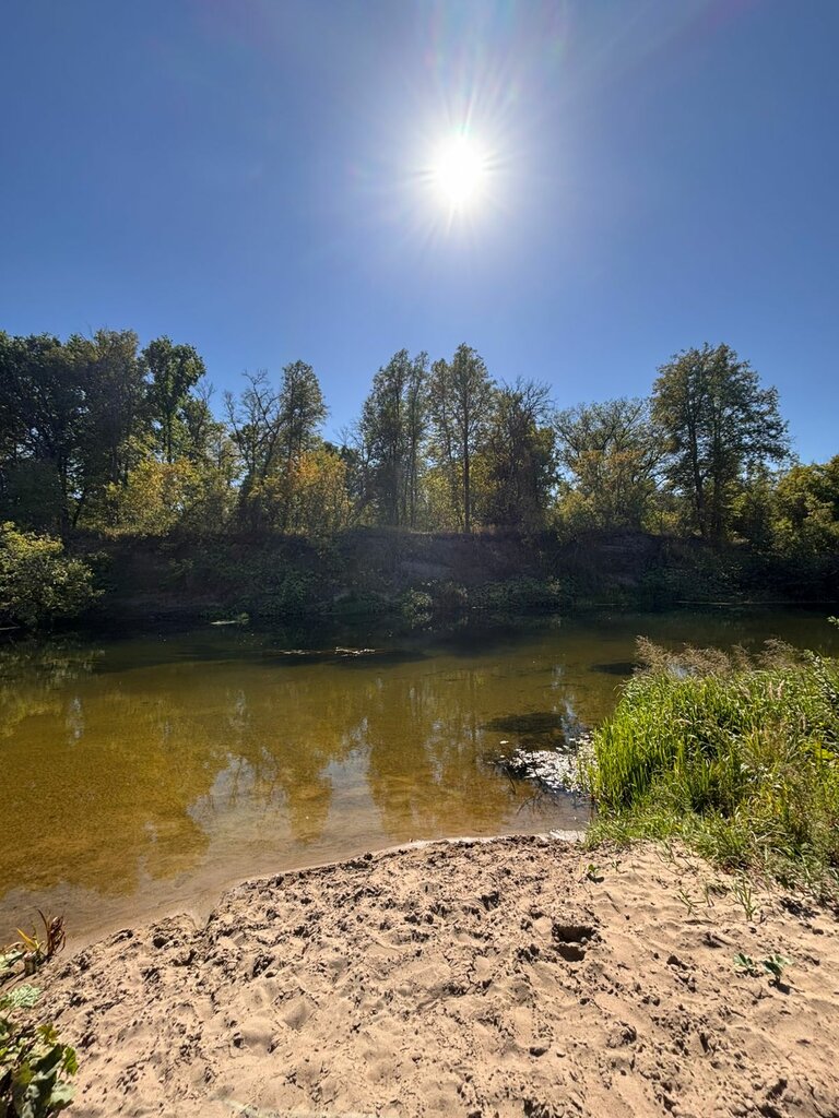 Plaj Пляж, Saratovskaya oblastı, foto
