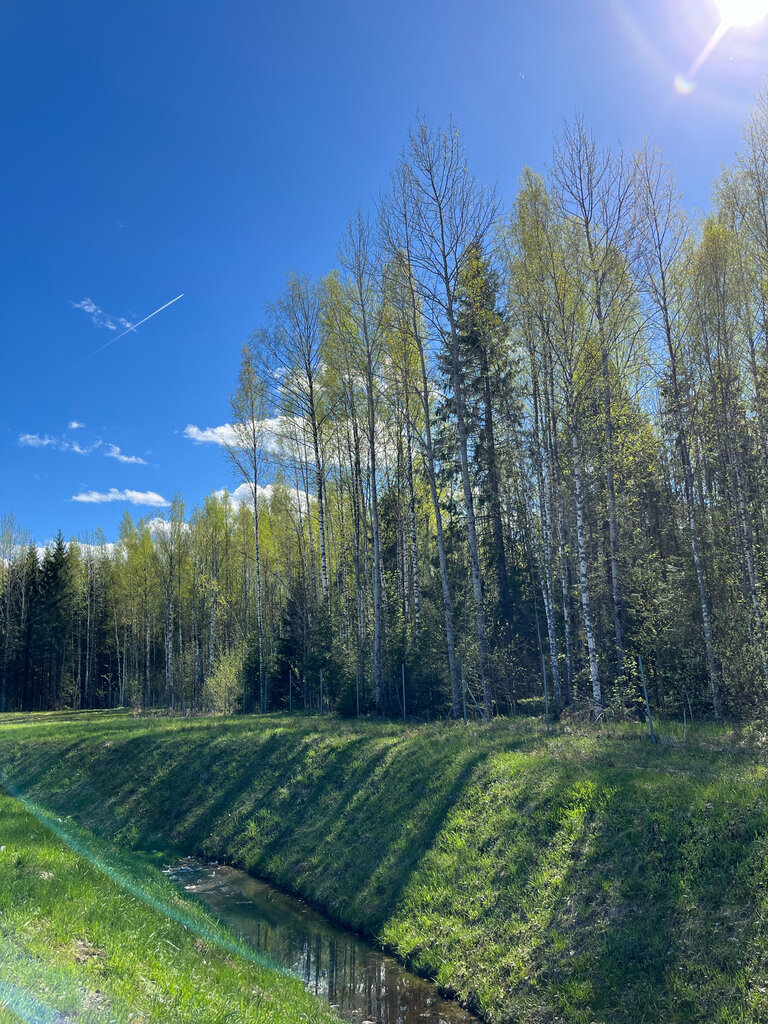 Yol kenarı dinlenme alanı Придорожная зона отдыха, Tverskaya oblastı, foto