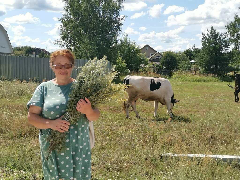Tarım firmaları ЛПХ Свежий воздух, Vladimirskaya oblastı, foto