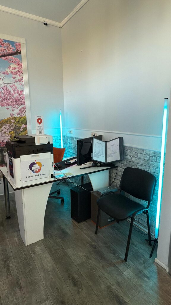 Fotokopi dükkanları Print and Scan, Moskova, foto