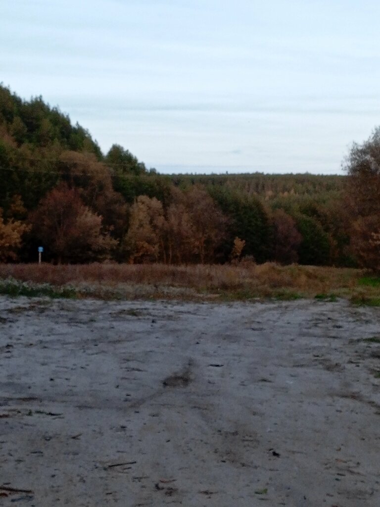 Motosiklet pisti Мотодром, Kuznetsk, foto