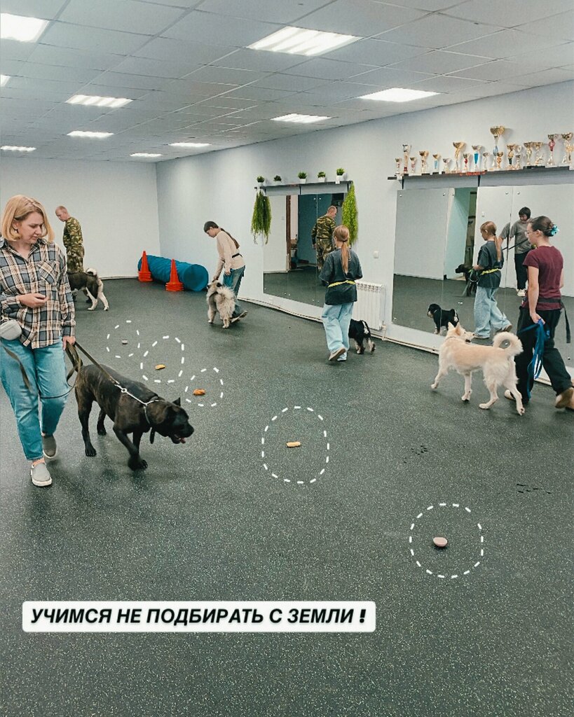 Hayvanat bahçesi merkezi Тандем, Dzerjinsk, foto