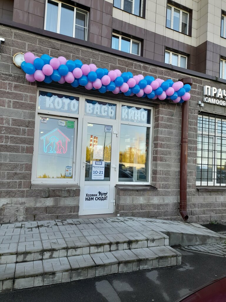 Petshop Котоваськино, Saint‑Petersburg, foto