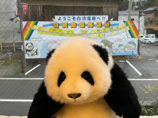 Otel Shirahama no Yado Daigo, , foto