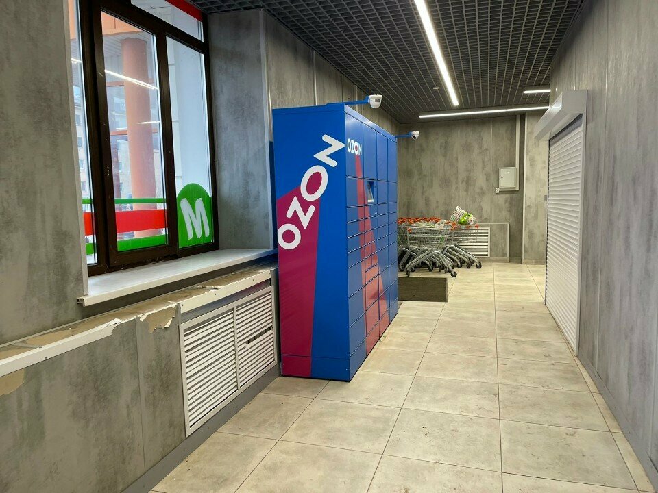 Parsel otomatı Ozon Box, Oktiabrski, foto