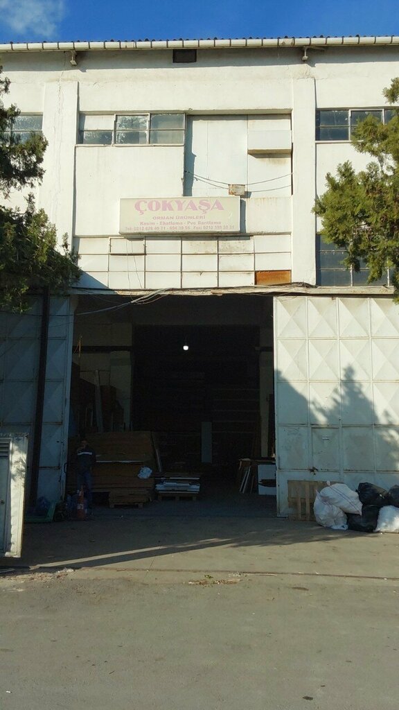 Kereste üretim ve satış şirketleri Çokyaşa Orman Ürünleri, İstanbul, foto