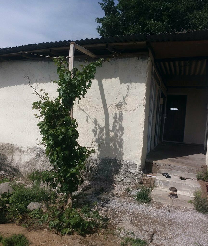 Cami Yıldırımlar Köyü Cami, Ortaköy, foto