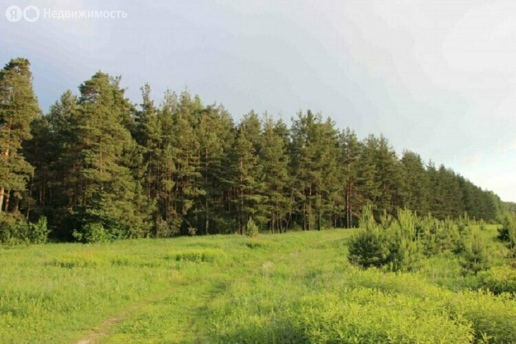 Yazlık yerleşim Барские просторы, Moskova ve Moskovskaya oblastı, foto