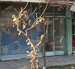 Vizyon Bıçak (Gaziantep, Şehitkamil, Sanayi Mah., 60173. Cad., 6), bıçak mağazası  Gaziantep'ten