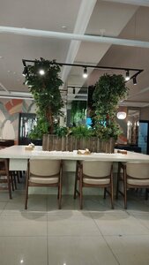 Oliva halal (Pokrovskaya Roshcha Street No:16, Astrakhan), kafe  Astrahan'dan