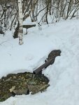 Spring, stream (Republic of Bashkortostan, Belebey, ulitsa Gremuchiy Klyuch), pınar, çay  Belebey'den