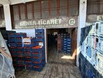 Güner Ticaret (Sanayi Mah., Hal İçi Sok., No:94, Şehitkamil, Gaziantep), toptan sebze ve meyve satışı  Gaziantep'ten