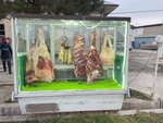 Meat Shop (Namangan Region, Kasansay District, Urban Settlement of Bogishamol), market  Nemengan eyaletinden