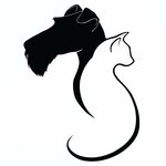 Dog style (Kirova Street No:11), evcil hayvan kuaförleri  Ulyanovsk'tan