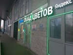 Cvetclub (Marshala Zhukova Avenue No:54к1), çiçekçiler  Saint‑Petersburg'dan