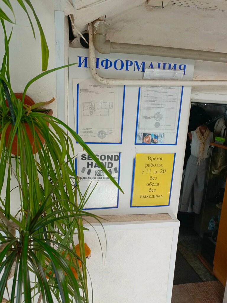 Ev temizlik ürünleri Finkiosk, Saint‑Petersburg, foto