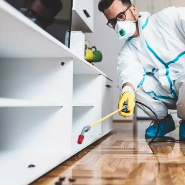 Haşere ilaçlama firmaları Glavdezcentr, Habarovsk, foto