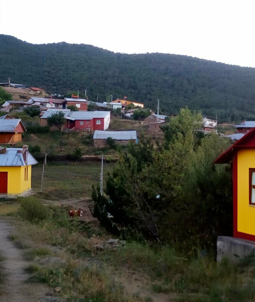Muhtarlıklar Balıkhisar Köy Muhtarlığı, Şiran, foto