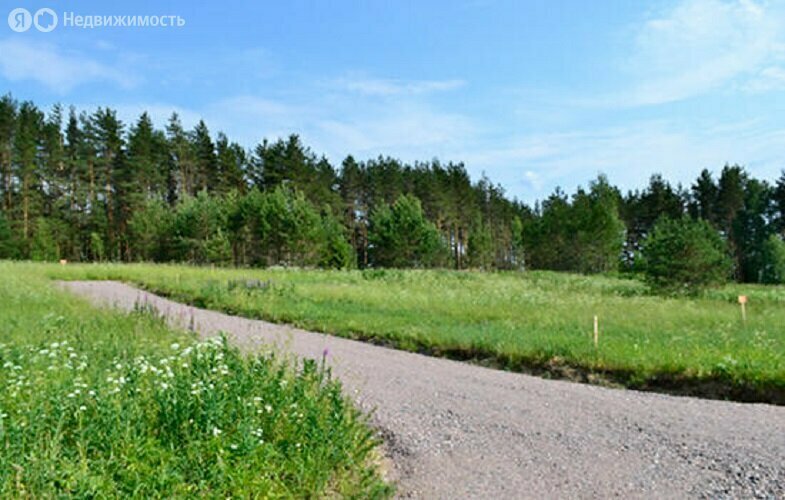 Yazlık yerleşim Рощинский Хутор-2, Saint‑Petersburg ve Leningradskaya oblastı, foto
