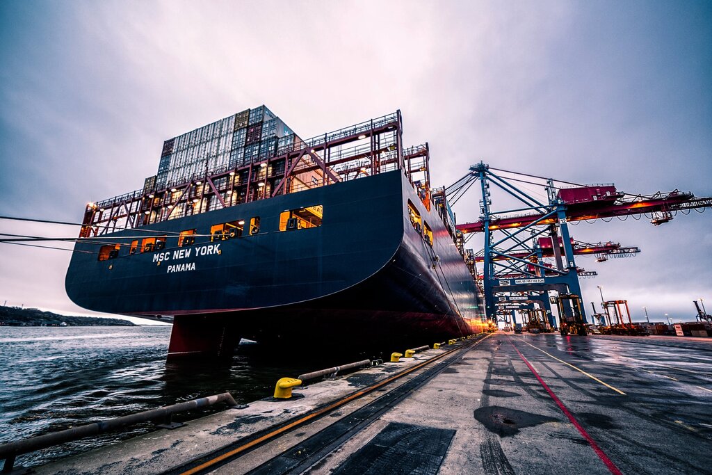 Kargo firmaları Move One Moving and Storage Pet Shipping -, Almatı, foto