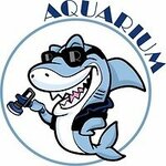 Aquarium (ulitsa Arkhitektora Butovoy No:1Б, Stariy Oskol), detaylı oto bakımı  Stariy Oskol'dan