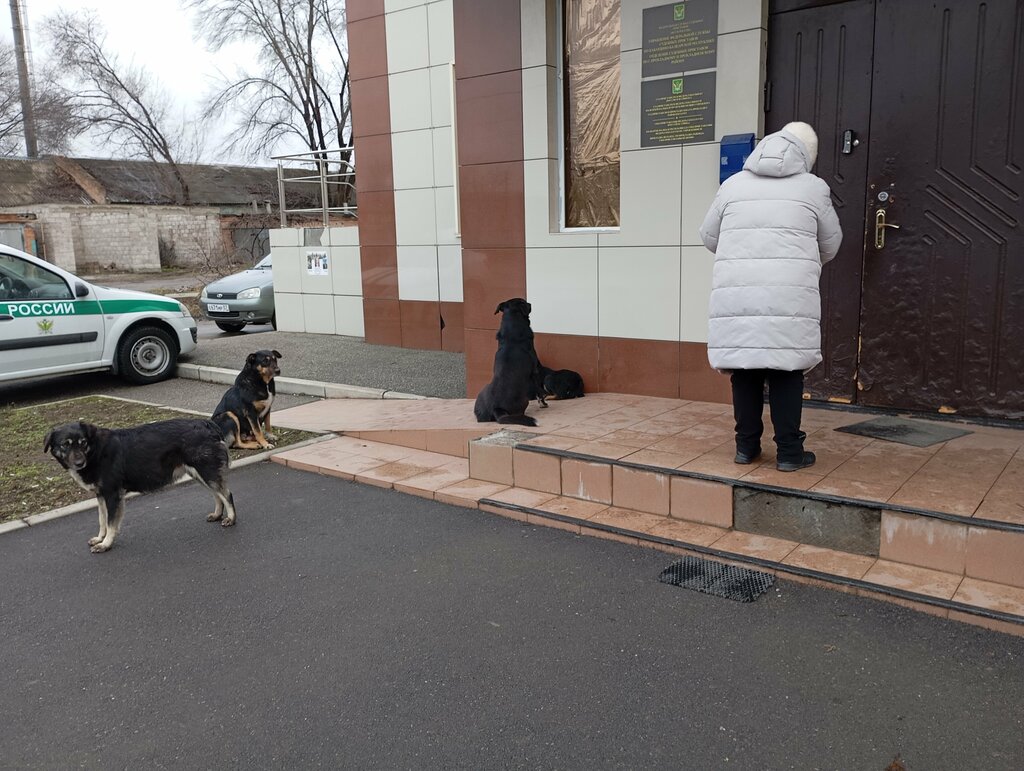 Adliye personeli Federal Bailiffs Service, Prohladny, foto